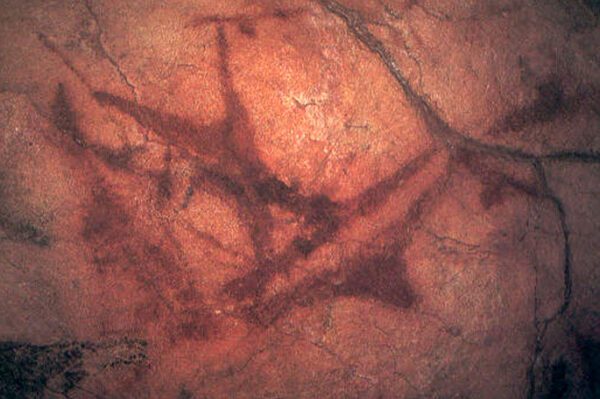 CUEVA DE ALTAMIRA - Neocueva y Museo de Altamira