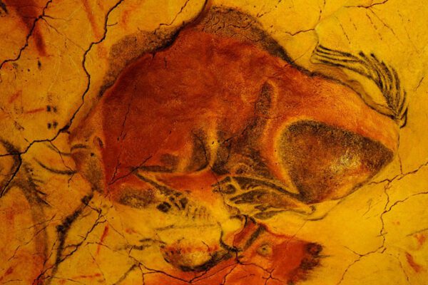 CUEVA DE ALTAMIRA - Neocueva y Museo de Altamira