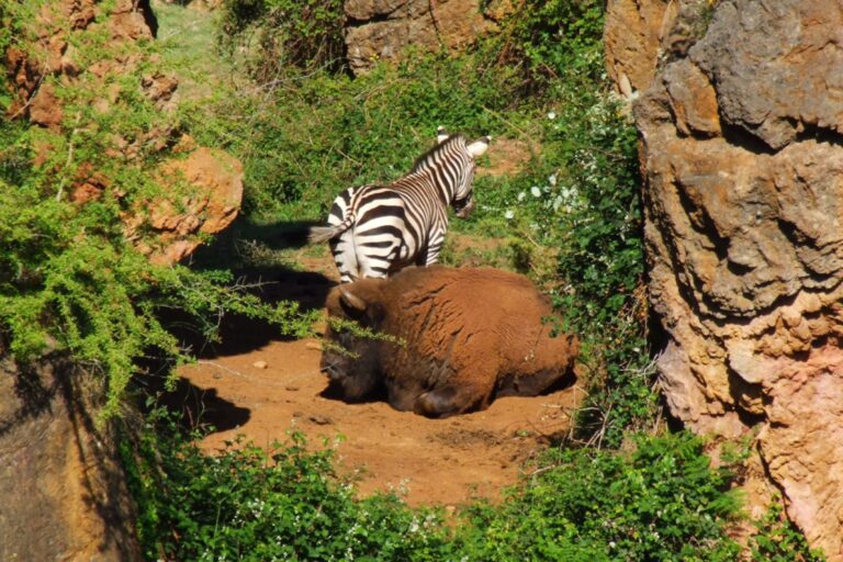 PARQUE DE CABÁRCENO